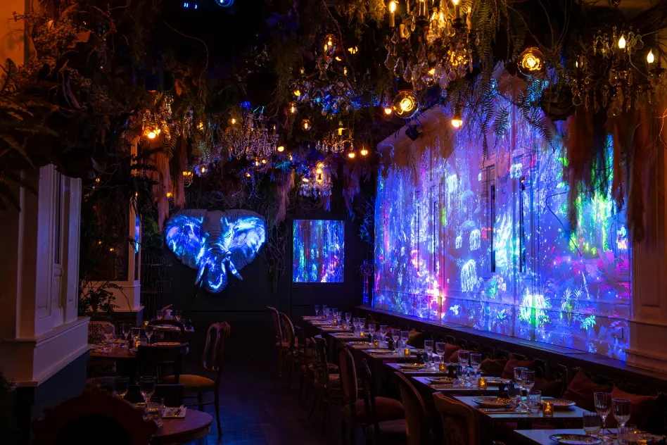 Découvrez Jungle Palace, une aventure gastronomique immersive